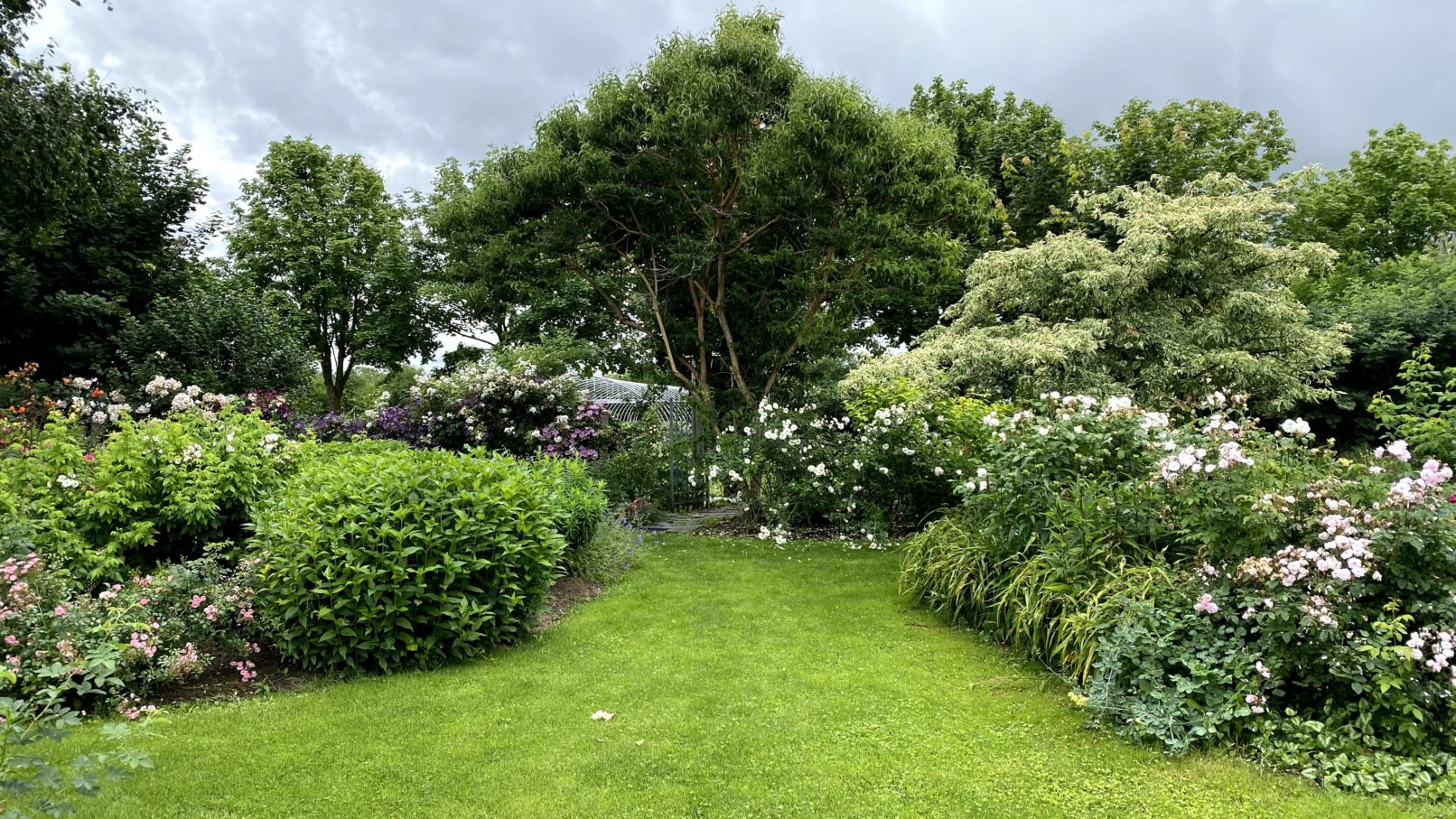 La Roseraie André Eve – Roseraie de Morailles